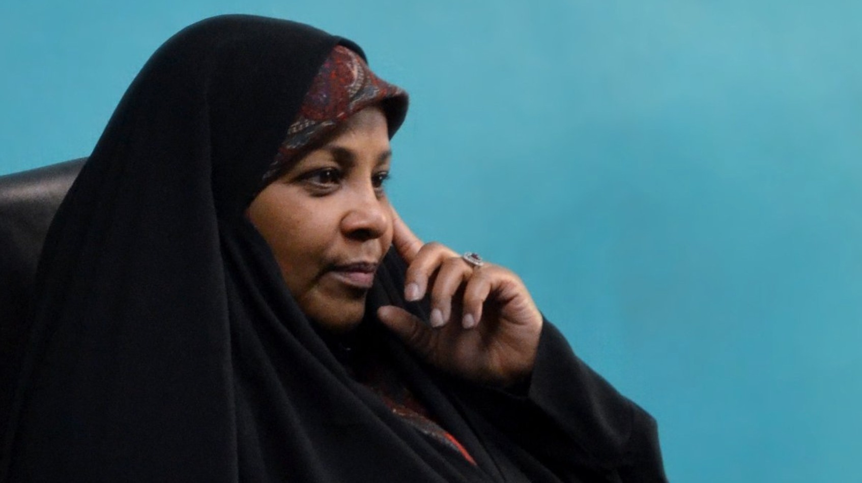 Marzieh Hashemi arrested & detained USA - Letter to UN - IHRC