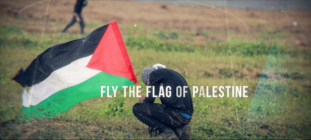 Flying the Flag of Palestine - video wall - IHRC