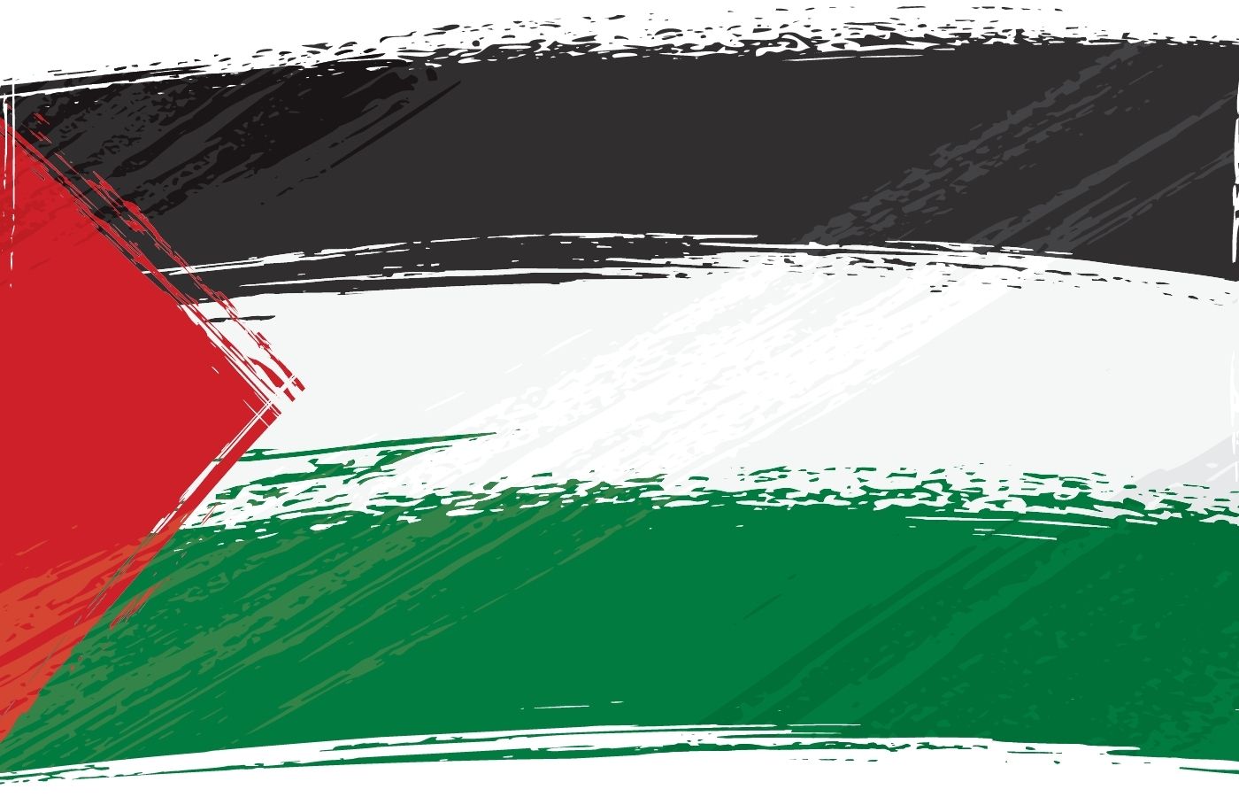 Labour MP refuses to apologise for Palestine flag removal request - IHRC