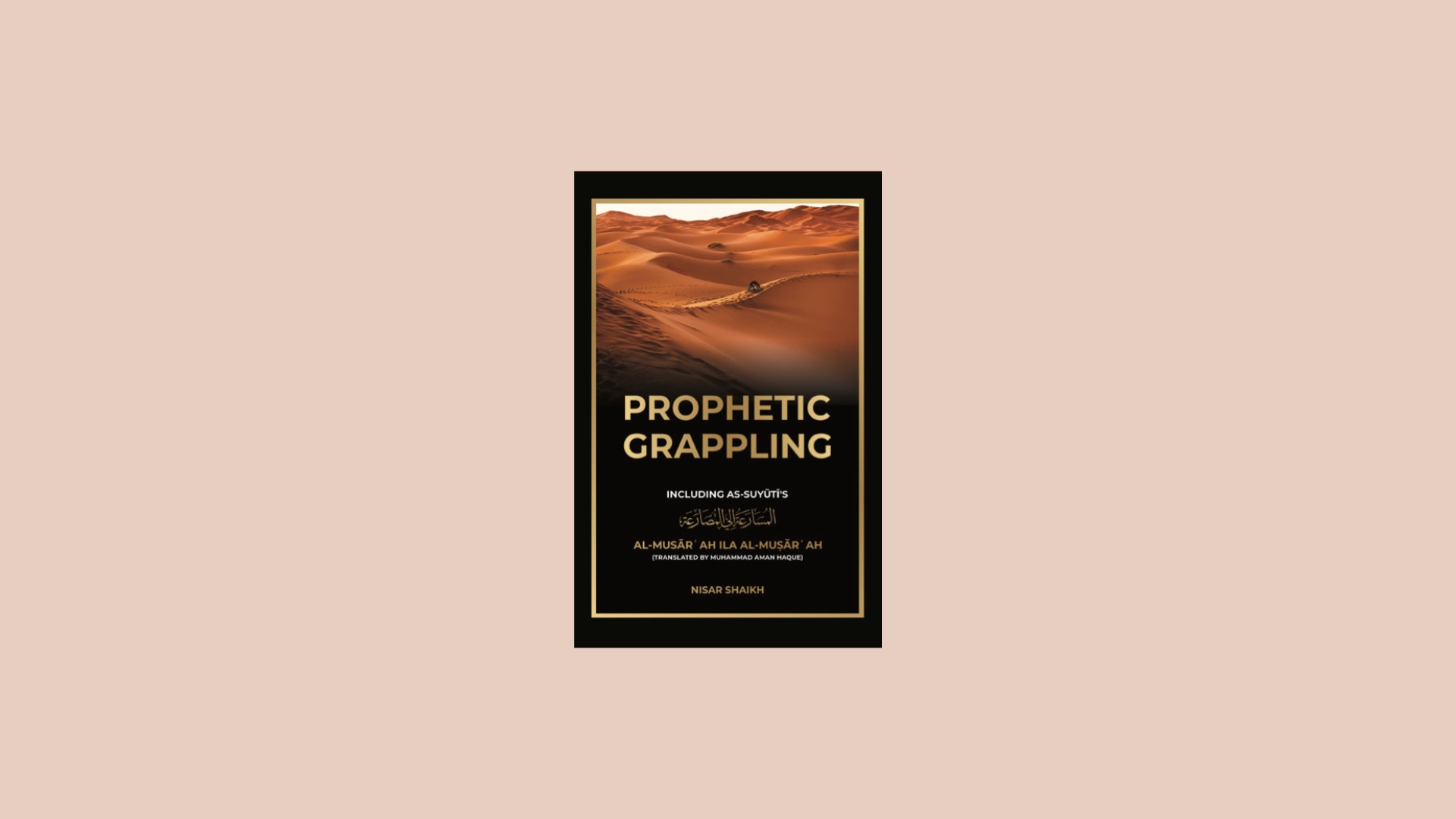 Author Evening with Nisar Shaikh: Prophetic Grappling - IHRC