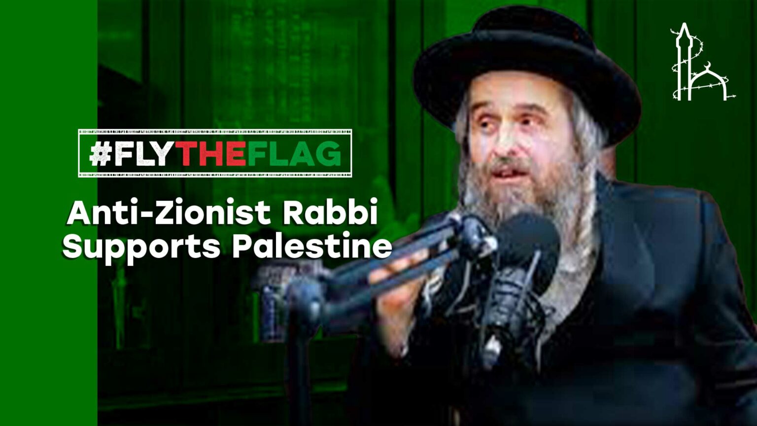 Anti-Zionist Jews support Palestine - IHRC